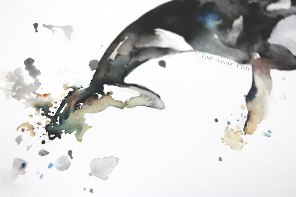 Orca (Killer) Whale Original Watercolor Painting – Easy Sunday Club